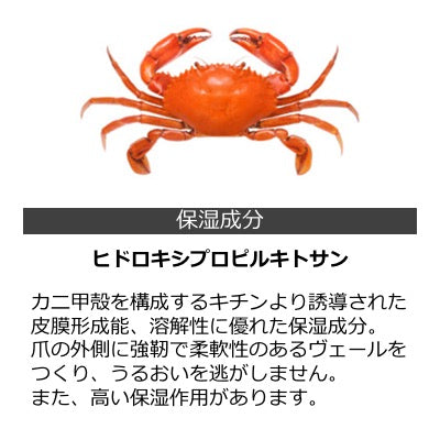 アスリートネイル パーフェクトネイルエッセンス athlete nail perfect nail essence – tsumeplus